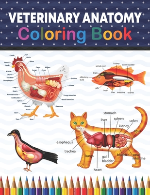 Veterinary Anatomy Coloring Book: Animal Anatomy and Veterinary ...
