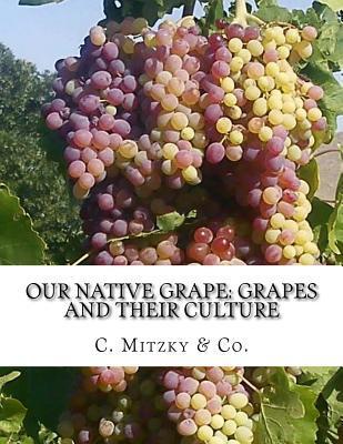 Our Native Grape: Grapes and Their Culture: A List of Old and New Grape ...