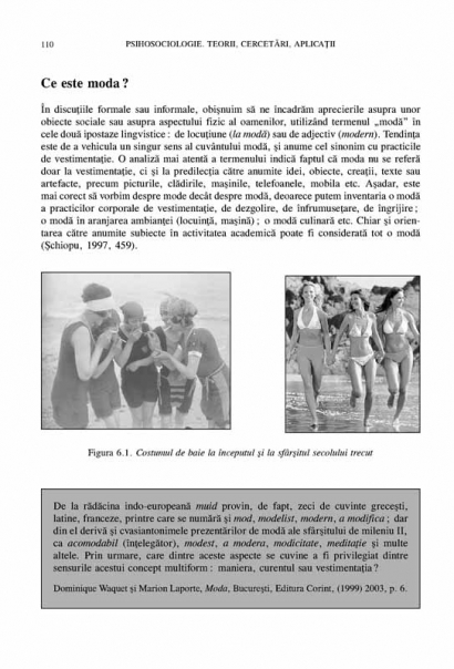 Psihosociologie - Teorii, Cercetari, Aplicatii - Septimiu Chelcea ...