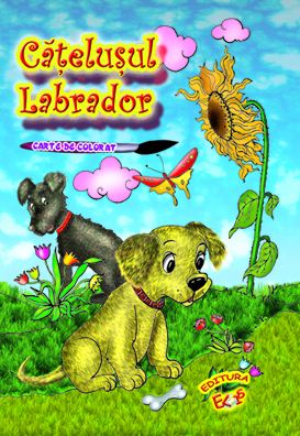 Catelusul Labrador - Carte De Colorat - 9736060465 - Libris