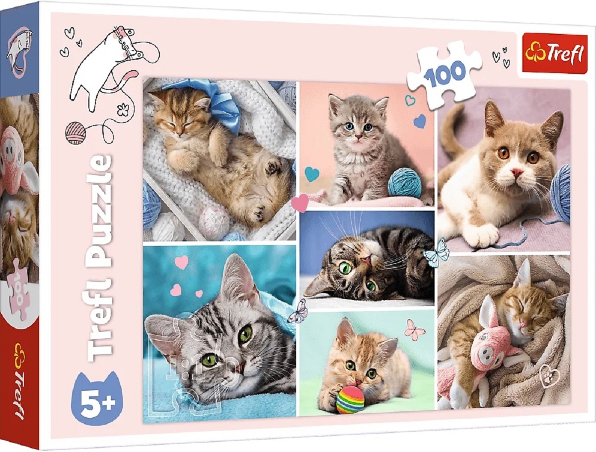 Puzzle 100. In lumea pisicilor - 16420 - Libris